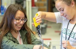 Learning Stories - StriveTogether